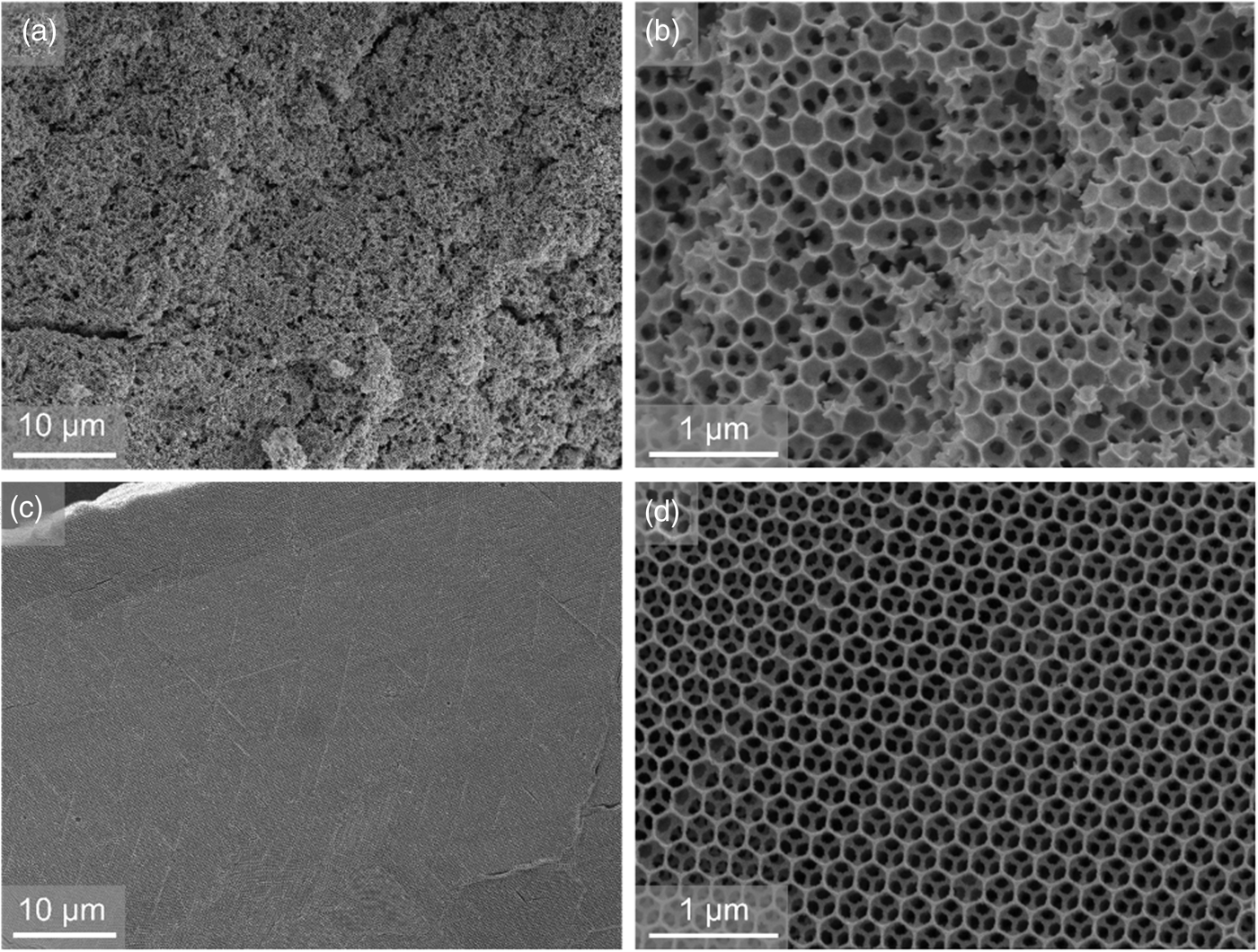 Temperature-dependent mechanical behavior of three-dimensionally ...
