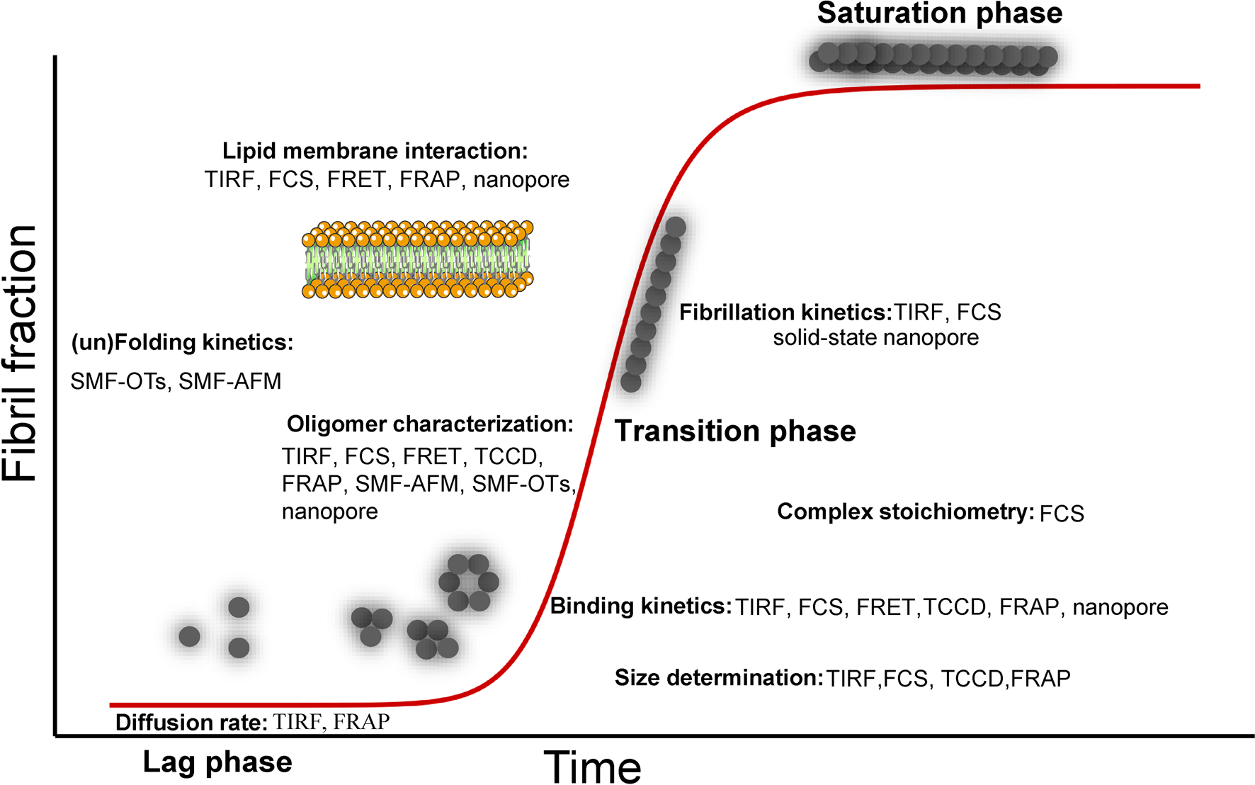 Single-molecule studies of amyloid proteins: from biophysical ...
