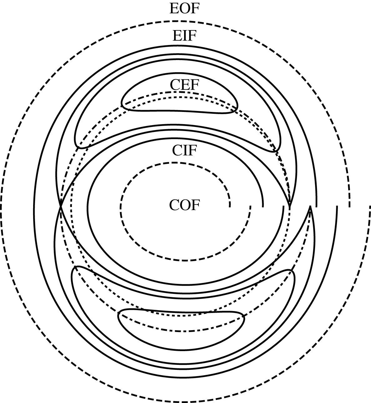A singular vorticity wave packet within a rapidly rotating vortex: spiralling versus oscillating ...