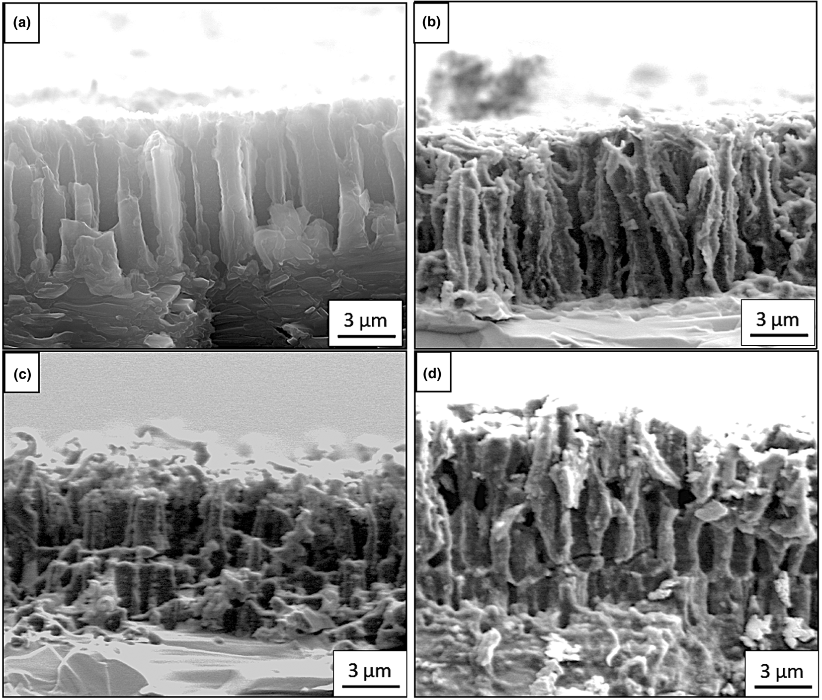 Large effect of structural variations in the columnar silicon electrode ...