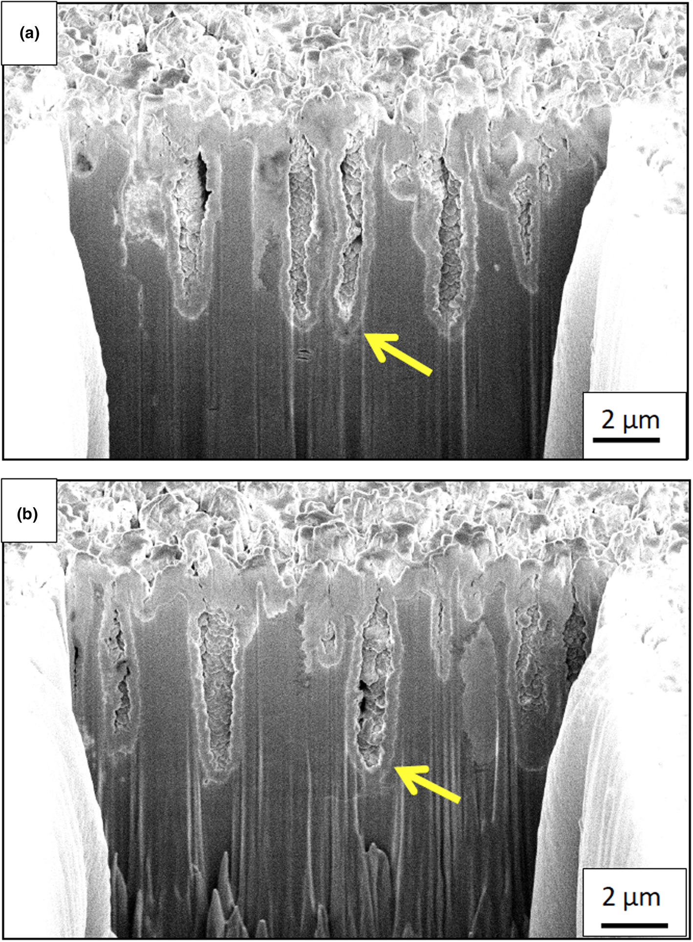 Large effect of structural variations in the columnar silicon electrode ...