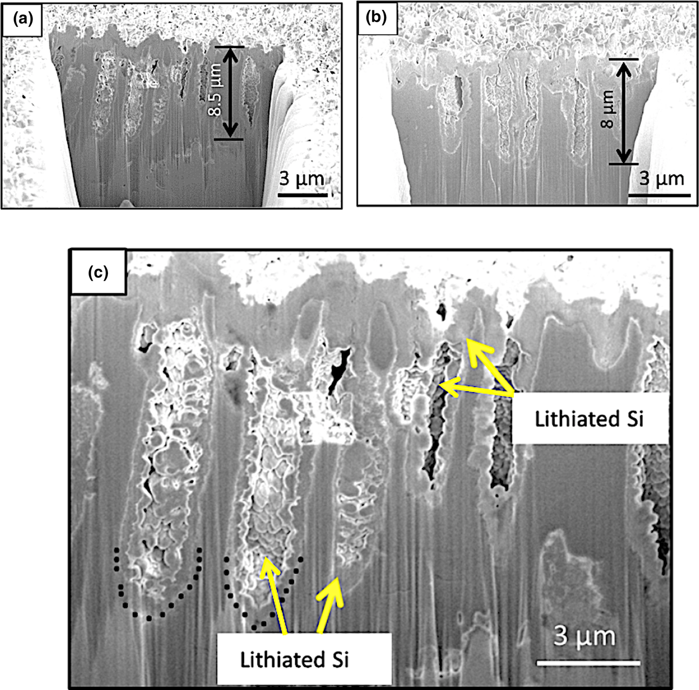 Large effect of structural variations in the columnar silicon electrode ...