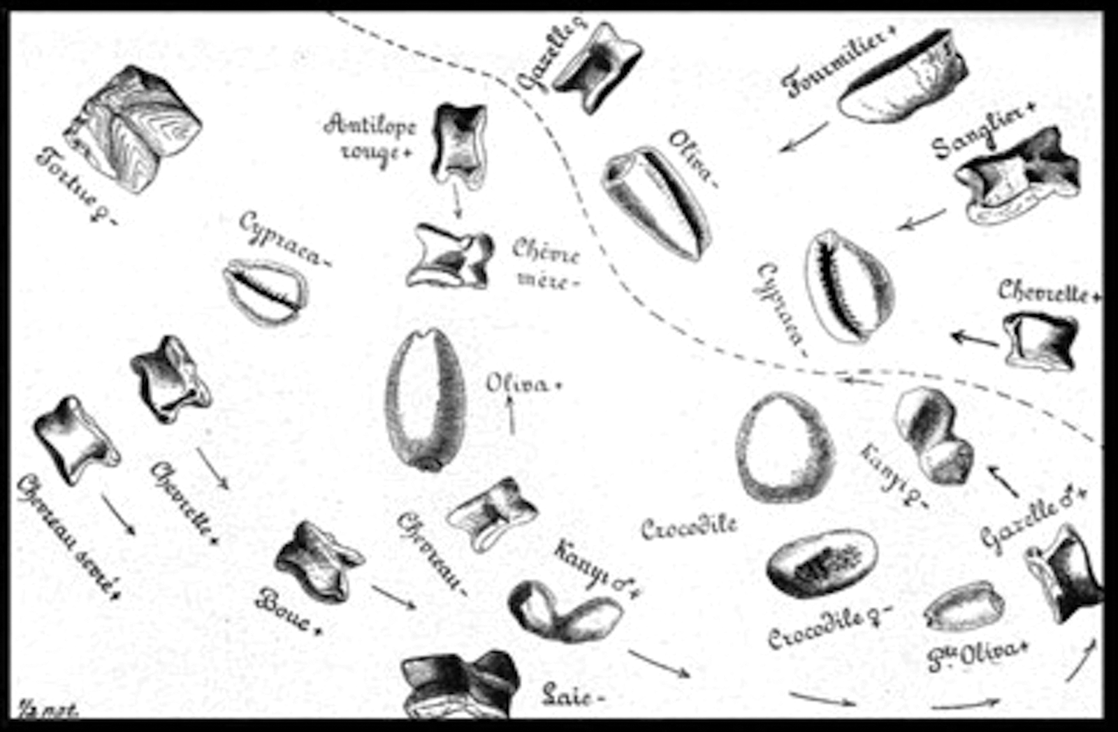 Divining Value: Cowries, the Ancestral Realm and the Global in Southern ...