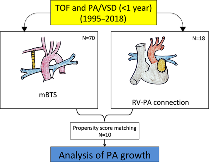 Pulmonary Atresia With Ventricular Septal Defect And Tetralogy Of Fallot Transannular Path