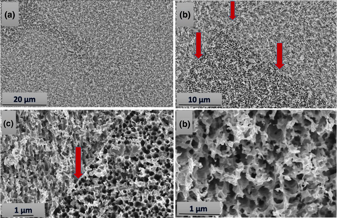 Formation of micro-mechanical interlocking sites by nanoscale ...