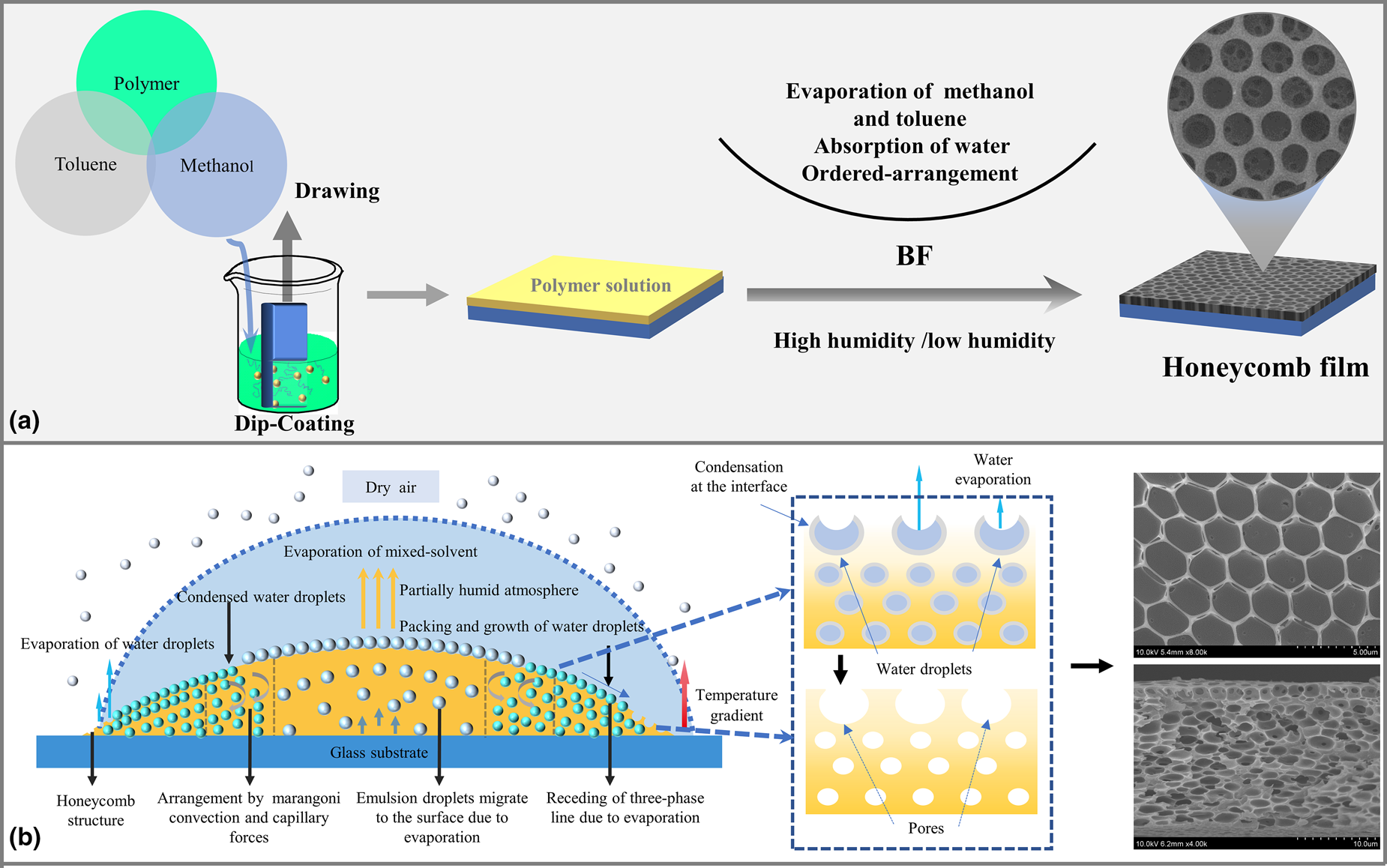A simple strategy for fabricating honeycomb patterns on commercially ...