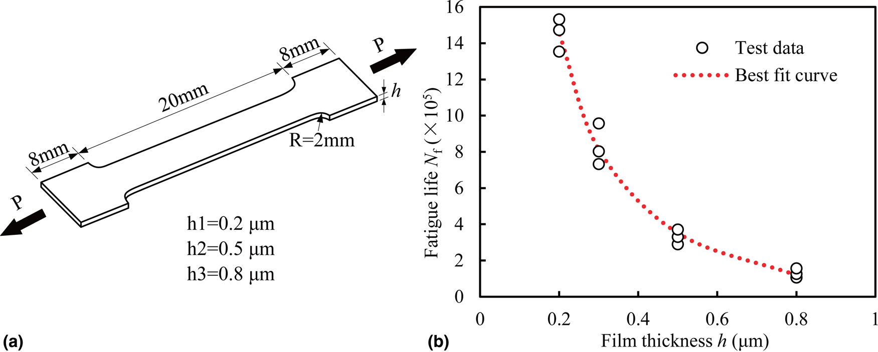 Multi-scale modeling of fatigue damage in a metal wire film with the ...