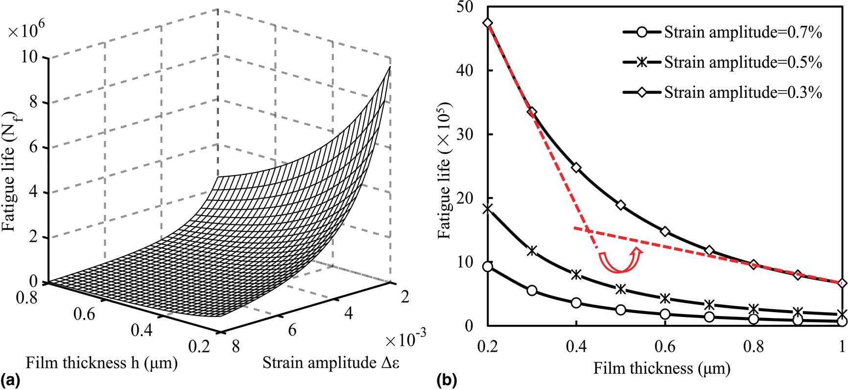 Multi-scale modeling of fatigue damage in a metal wire film with the ...
