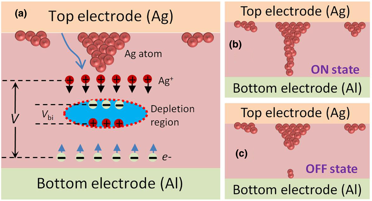 Resistance switching behaviors of continuous-thick hBN films fabricated ...