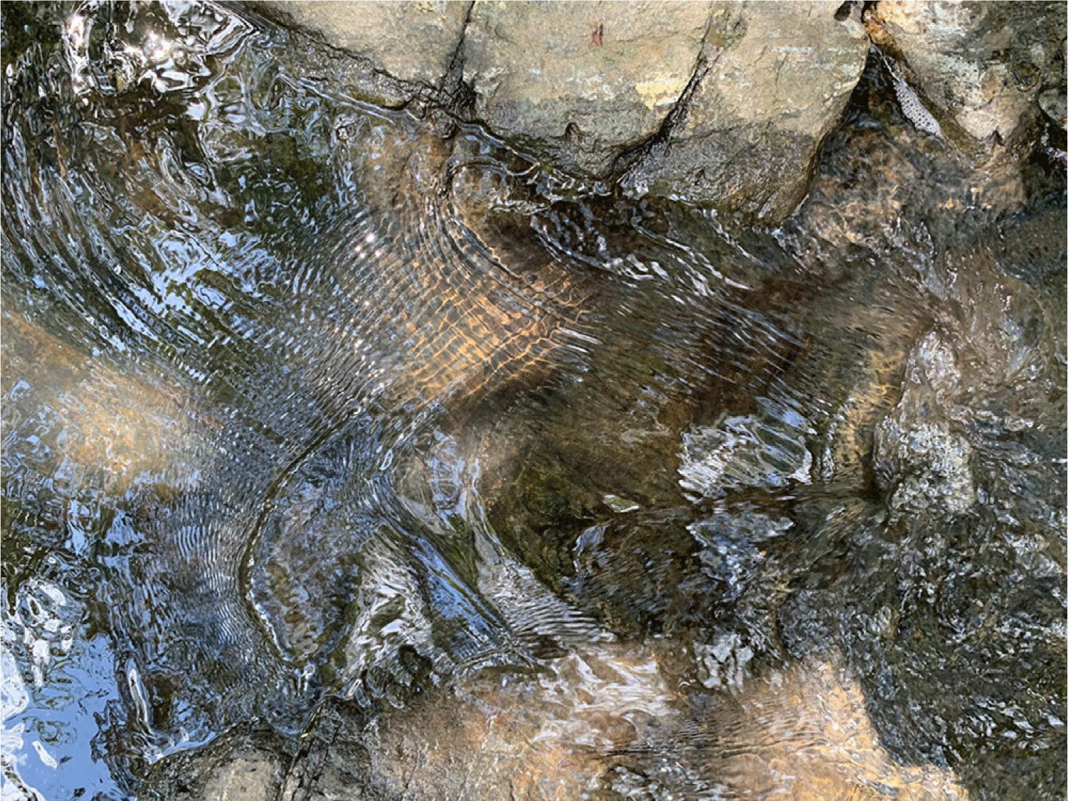 water/watery/watering: Concepts for Theorising in Environmental ...