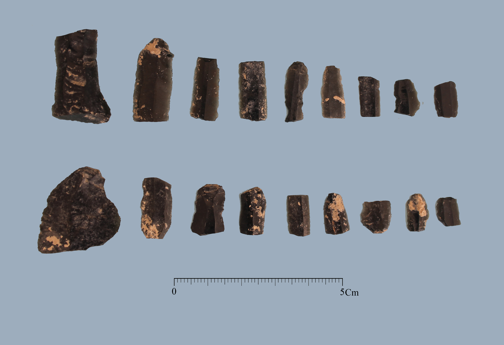 THE ARCHAEOLOGICAL LANDSCAPE OF THE NEOLITHIC PERIOD IN THE WESTERN ...