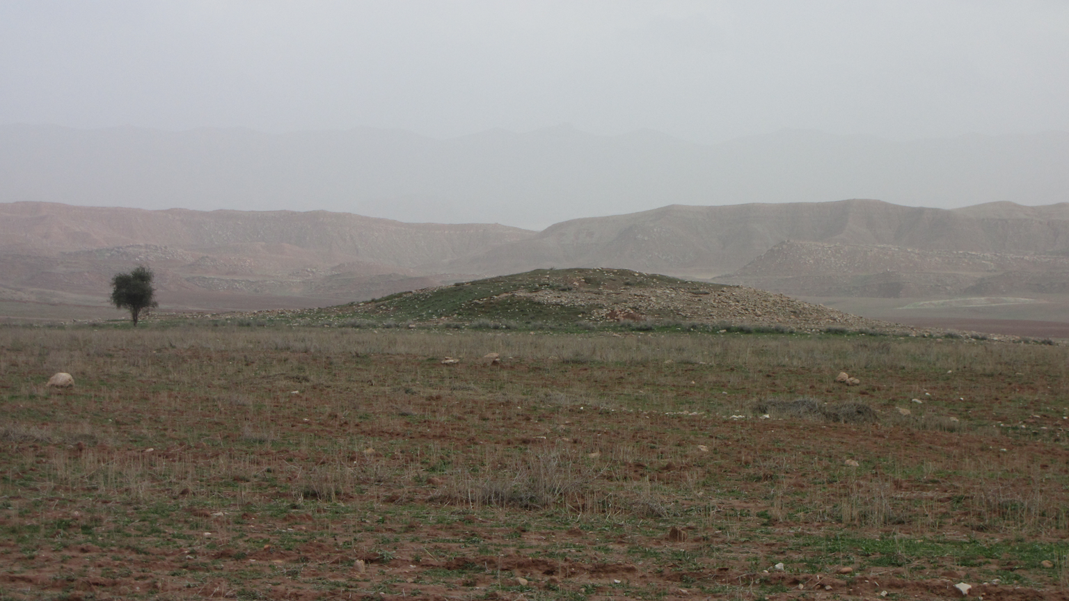 A CONSIDERATION OF EASTWARD SPREAD OF THE SAMARRAN PHENOMENON IN THE ...