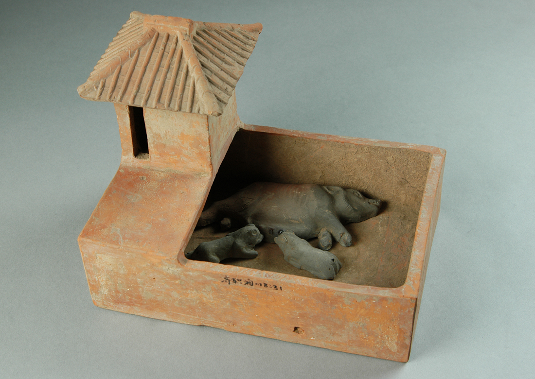 A History of Pigs in China: From Curious Omnivores to Industrial Pork ...