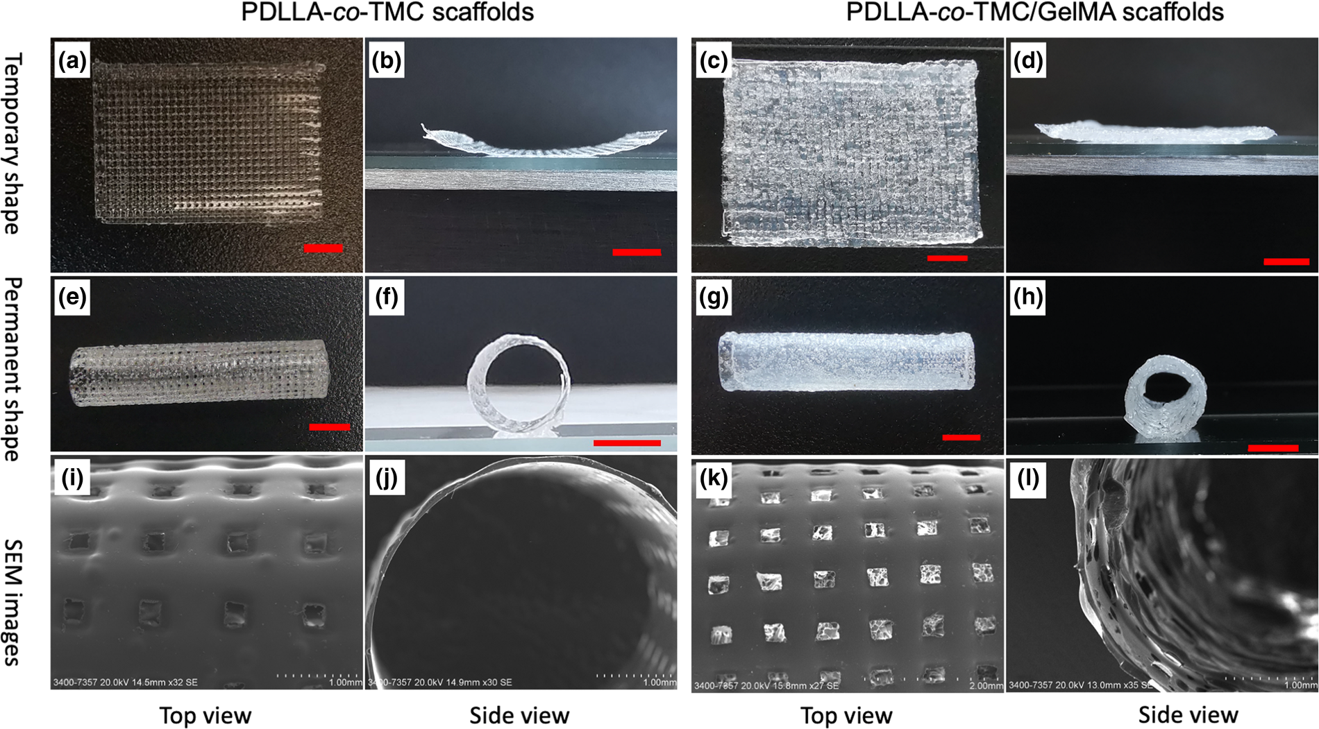3D Printed porous tissue engineering scaffolds with the self-folding ...