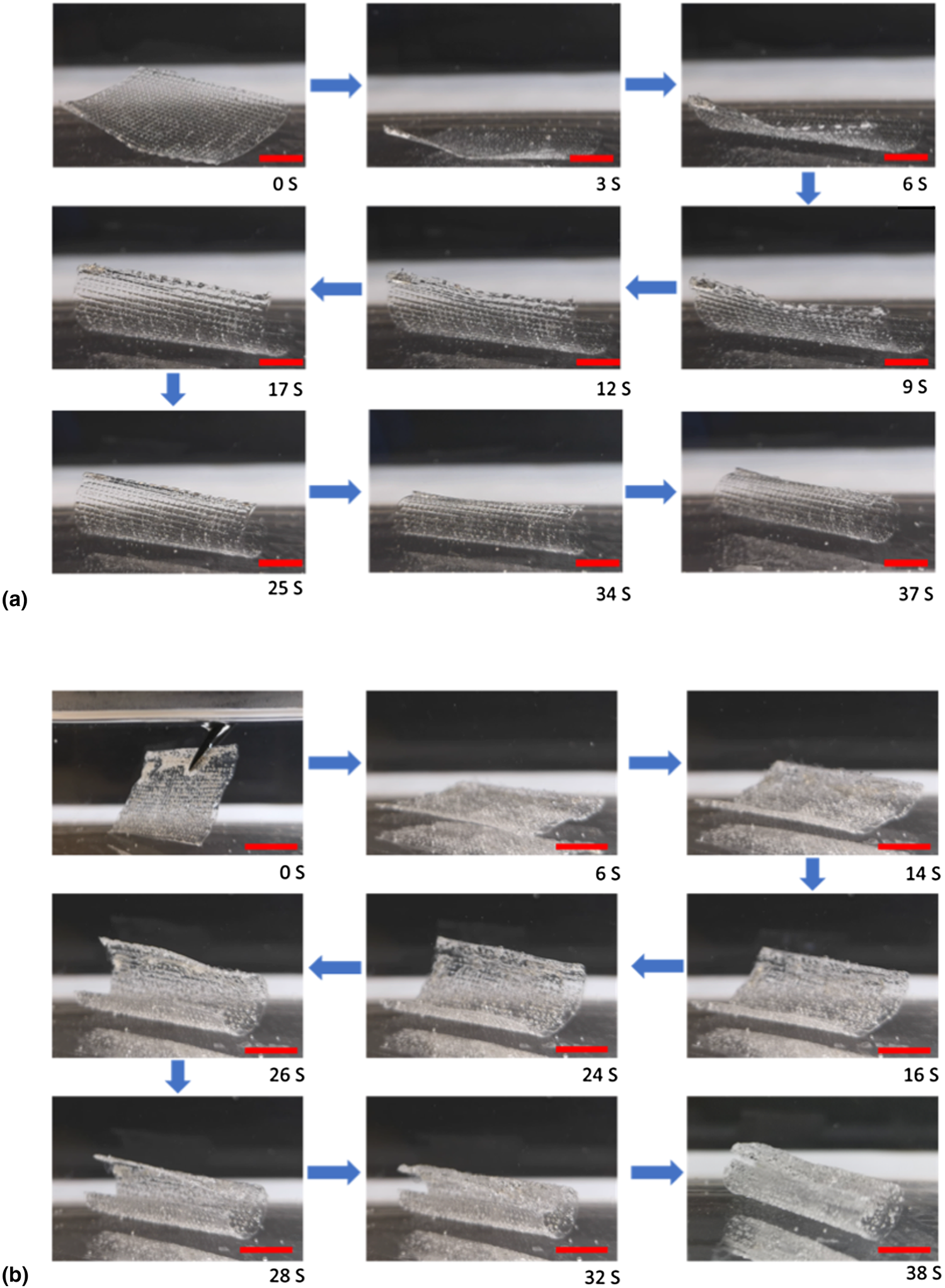 3D Printed porous tissue engineering scaffolds with the self-folding ...