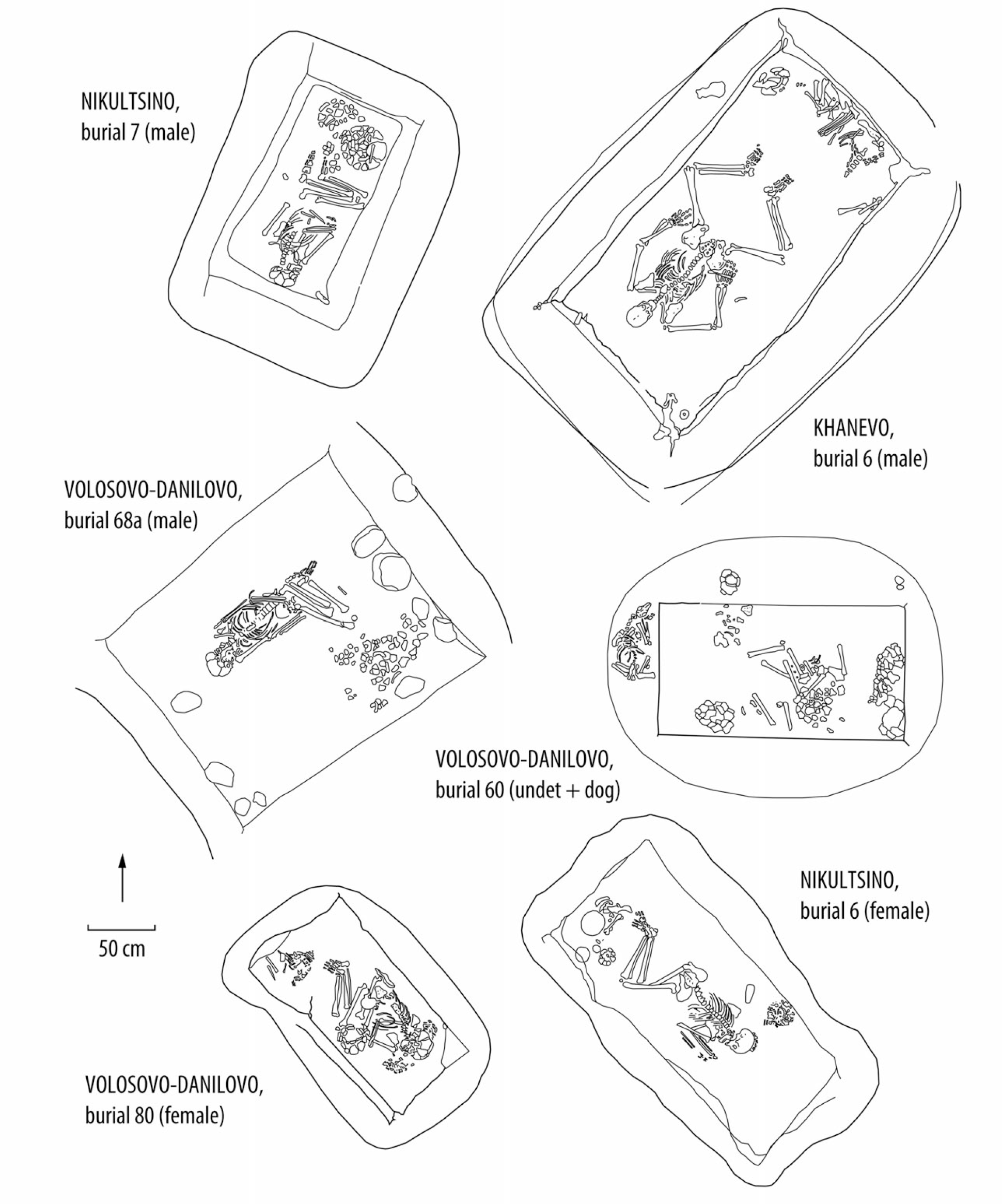 The Forgotten Child of the Wider Corded Ware Family: Russian Fatyanovo ...