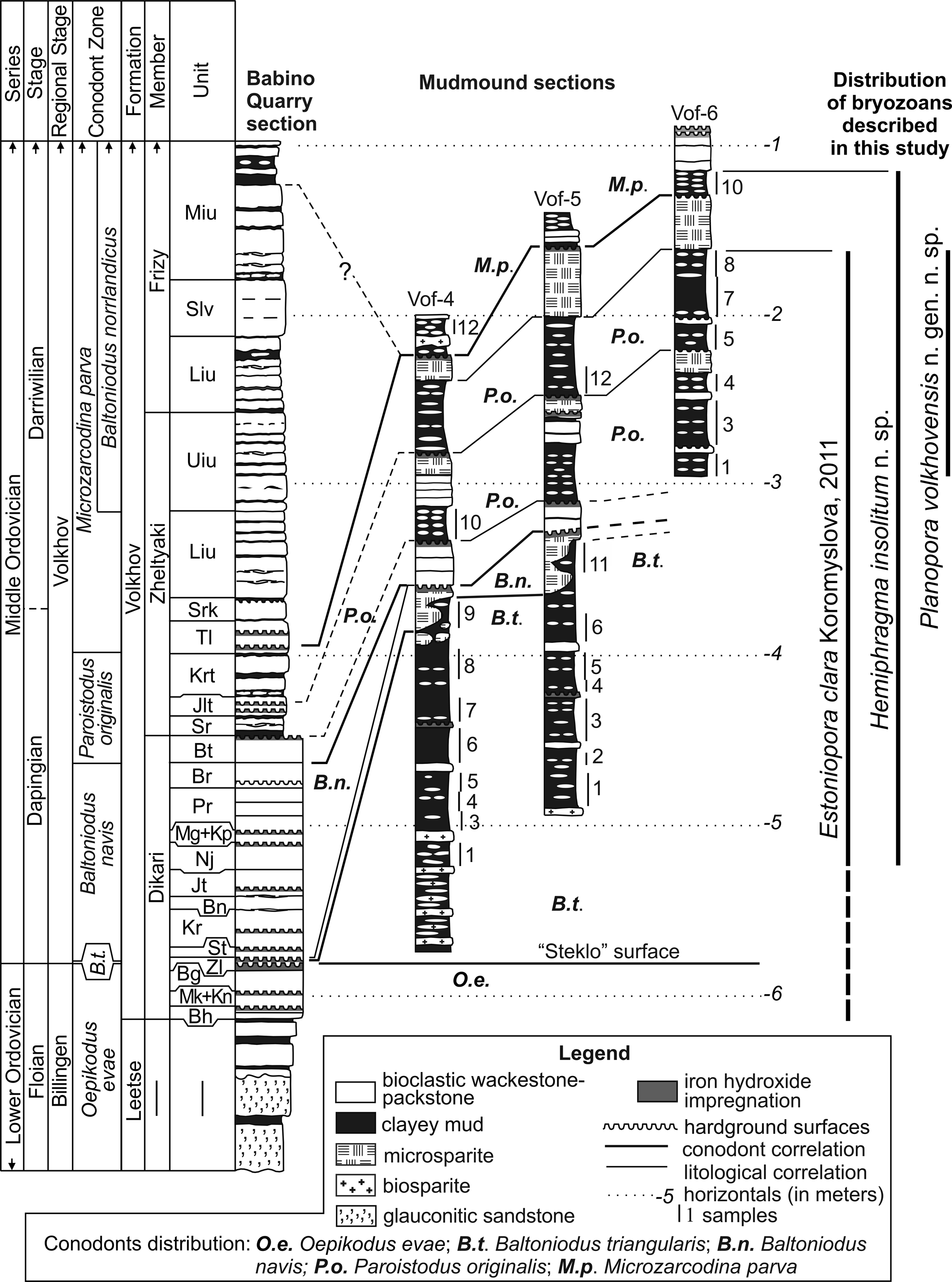 The oldest bifoliate cystoporate and two other bryozoan taxa from the ...