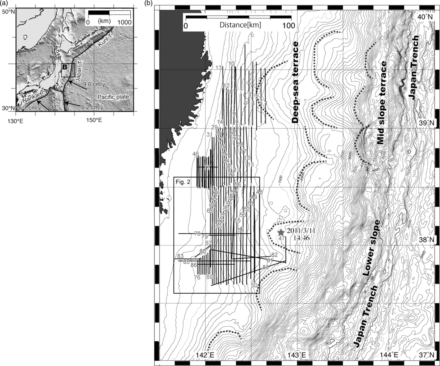 Active sediment creep deformation on a deep-sea terrace in the Japan ...