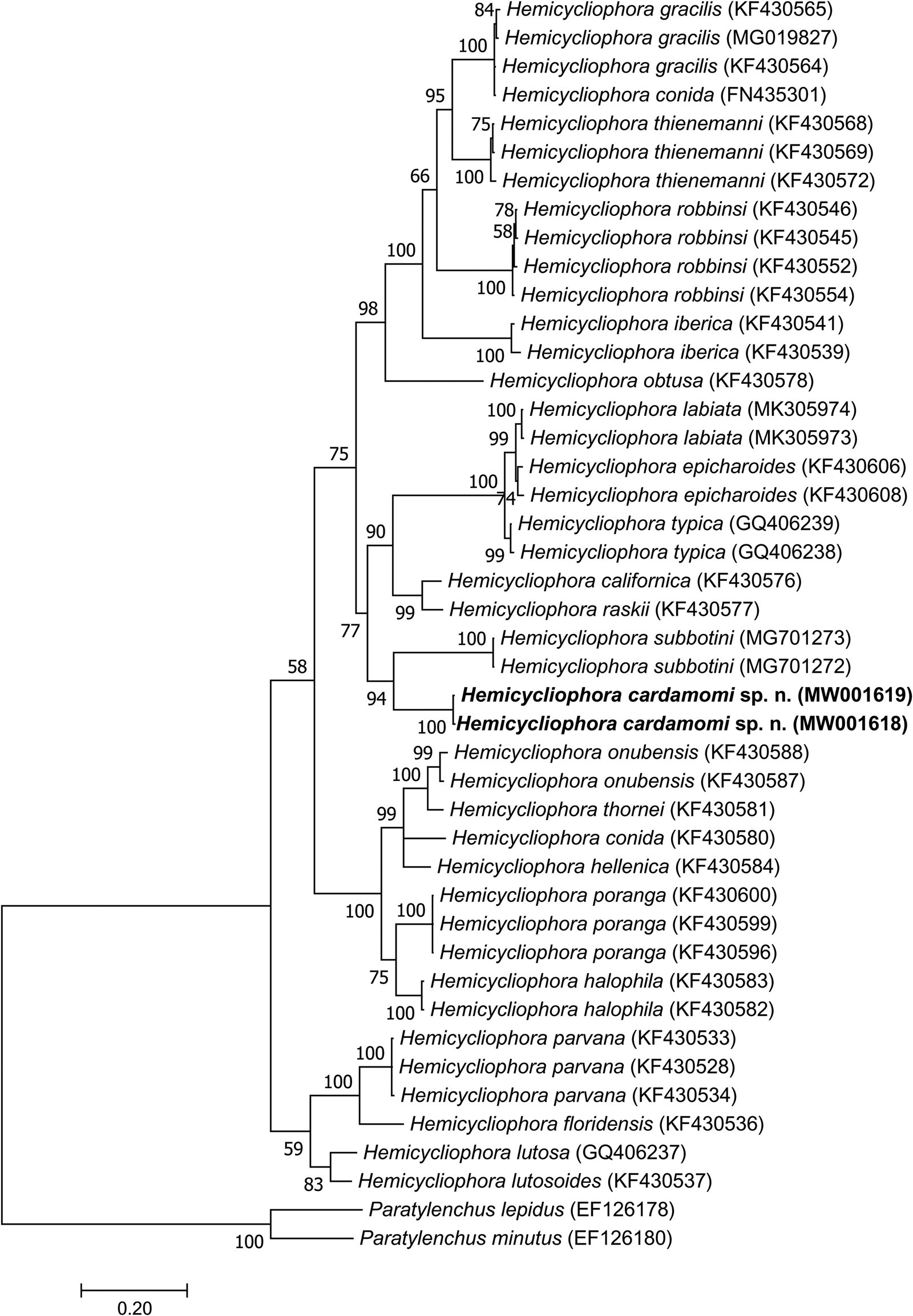 Description of Hemicycliophora cardamomi sp. n. (Nematoda ...