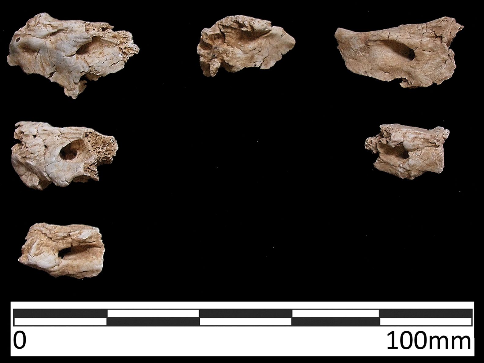 Thinking outside the cist: interpreting a unique artefact assemblage ...