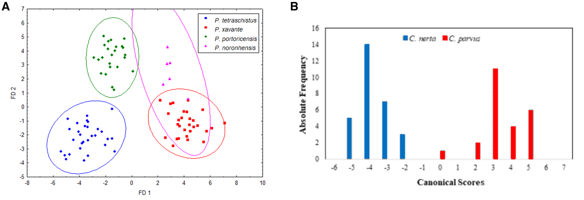 Morphometry of the shell in Scaphopoda (Mollusca): a tool for the ...