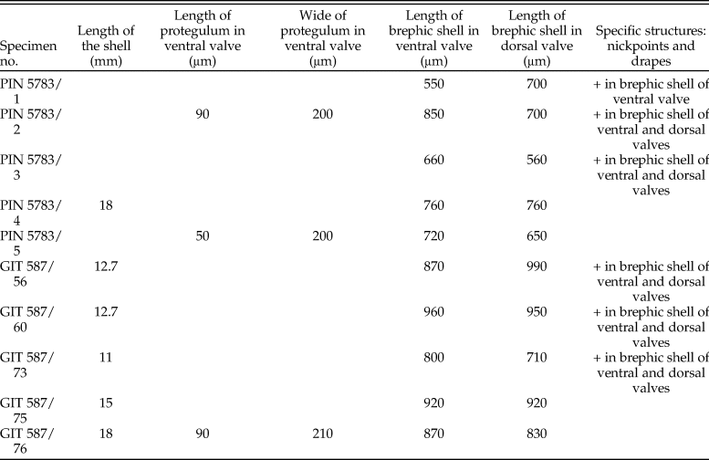 Analysis of the juvenile shell of Lingula anatina (Brachiopoda ...