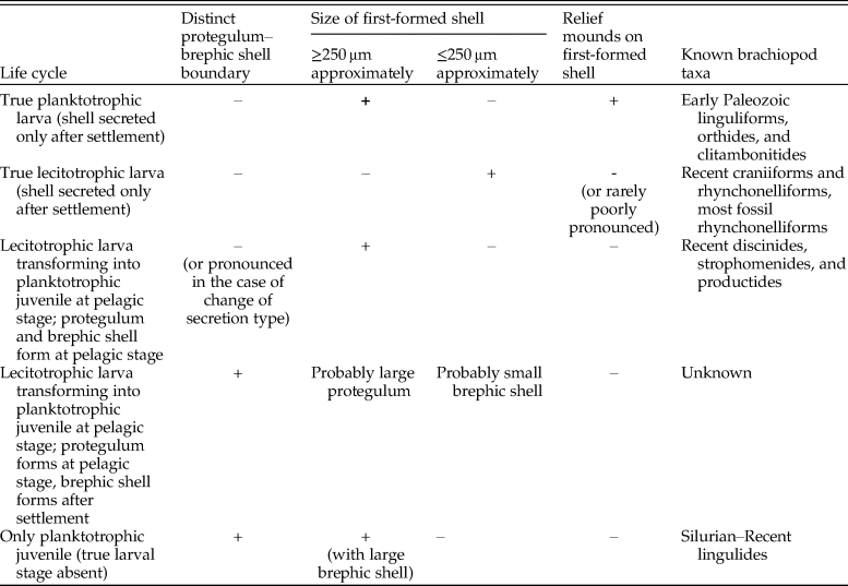 Analysis of the juvenile shell of Lingula anatina (Brachiopoda ...