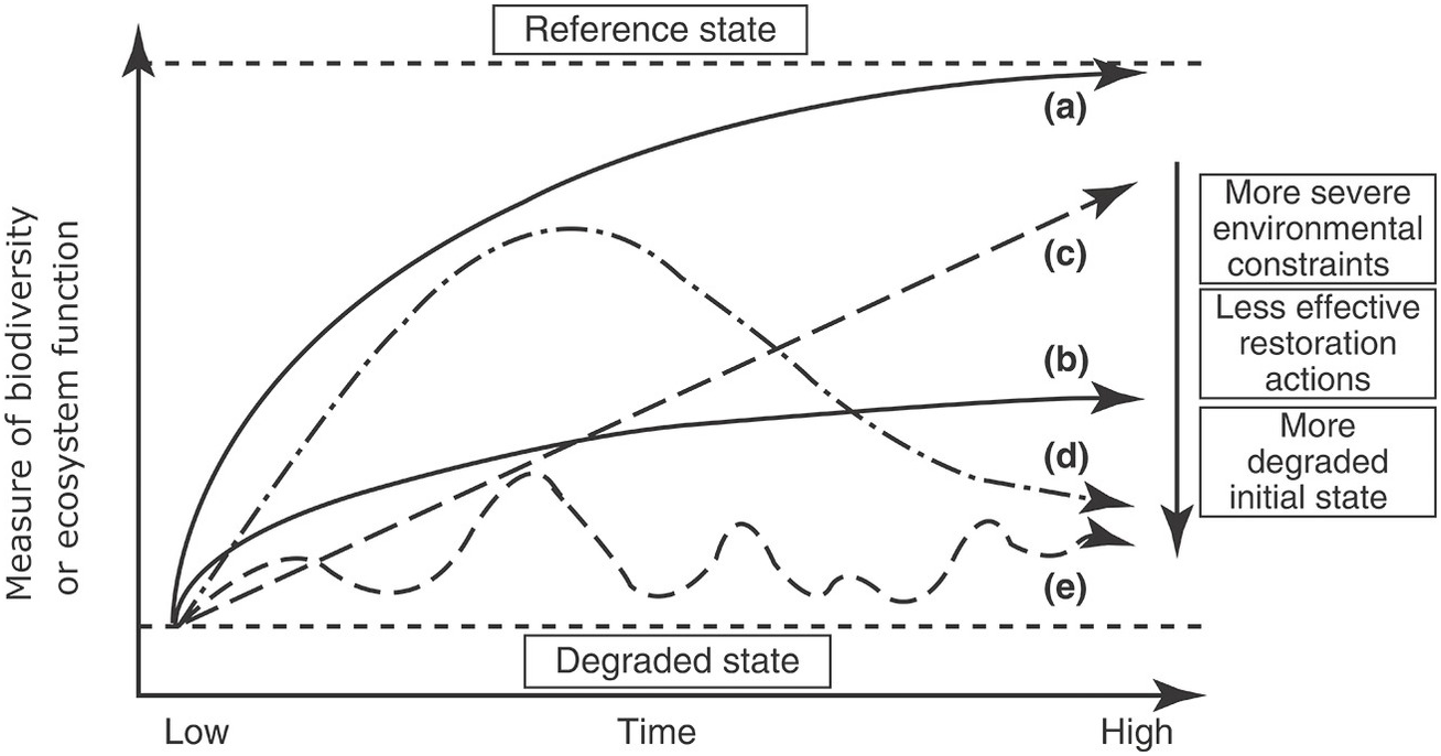 Ecological Theory (Chapter 2) - Ecosystem Collapse and Recovery