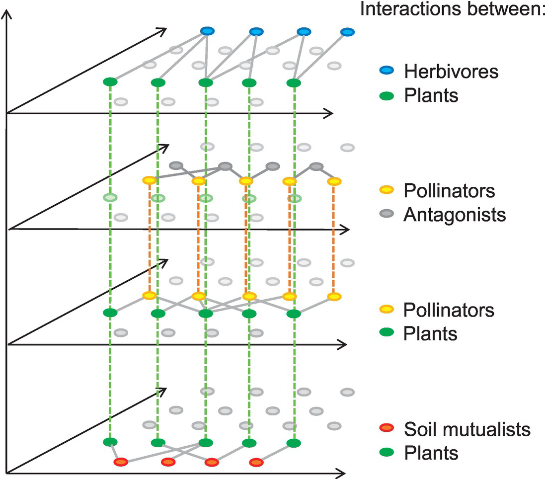 Ecological Processes and Network Systems (Chapter 1) - Quantitative ...