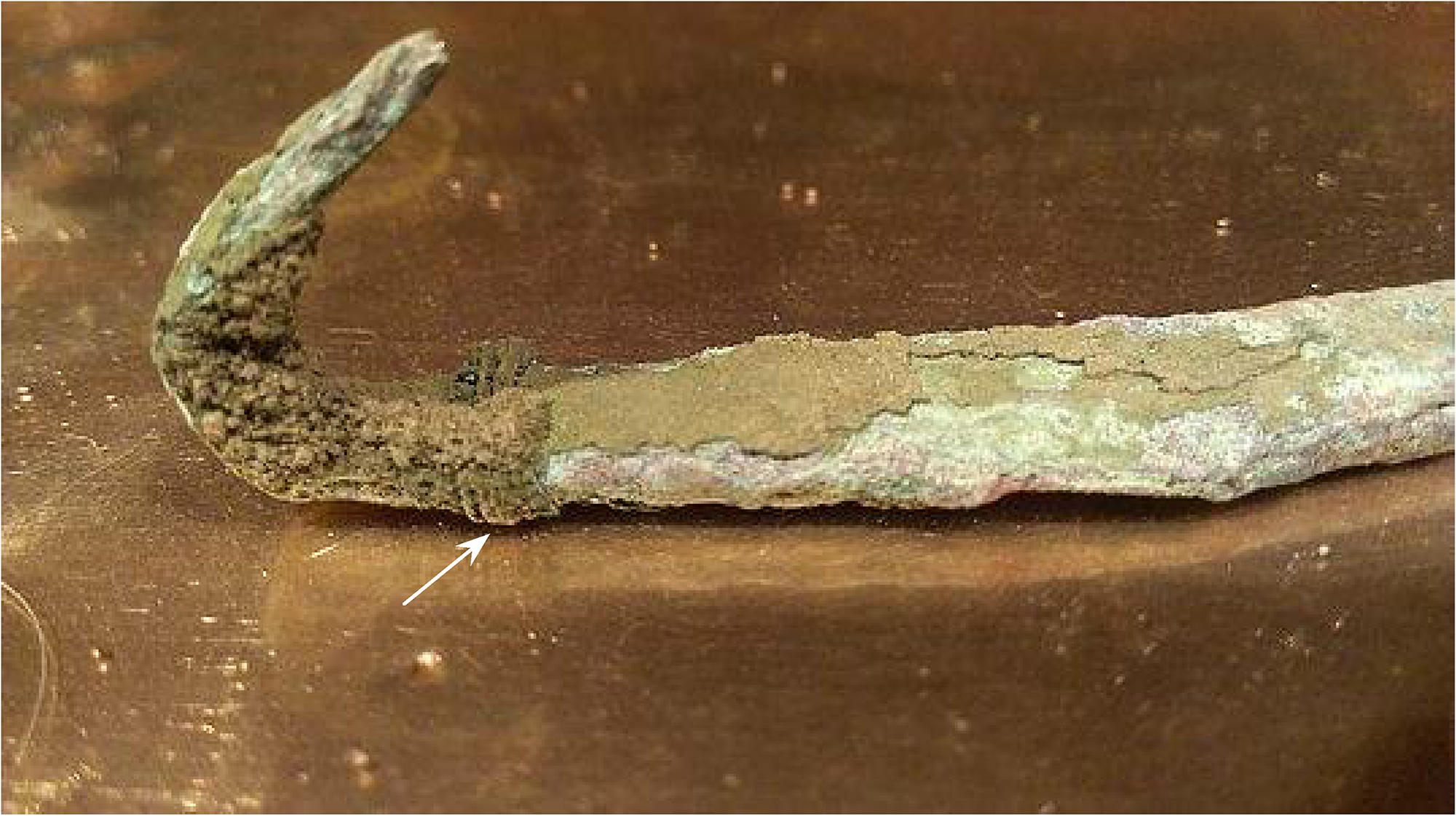 ON THE TIMING OF THE OLD COPPER COMPLEX IN NORTH AMERICA: A COMPARISON ...