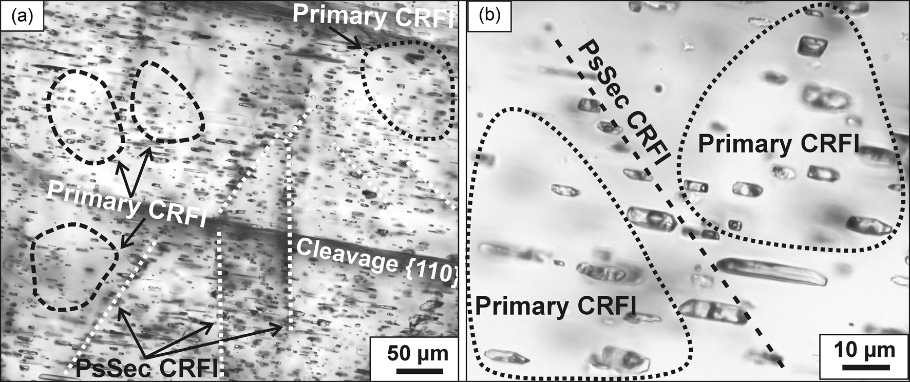 Spodumene from rare-metal pegmatites of the Kolmozero lithium world ...