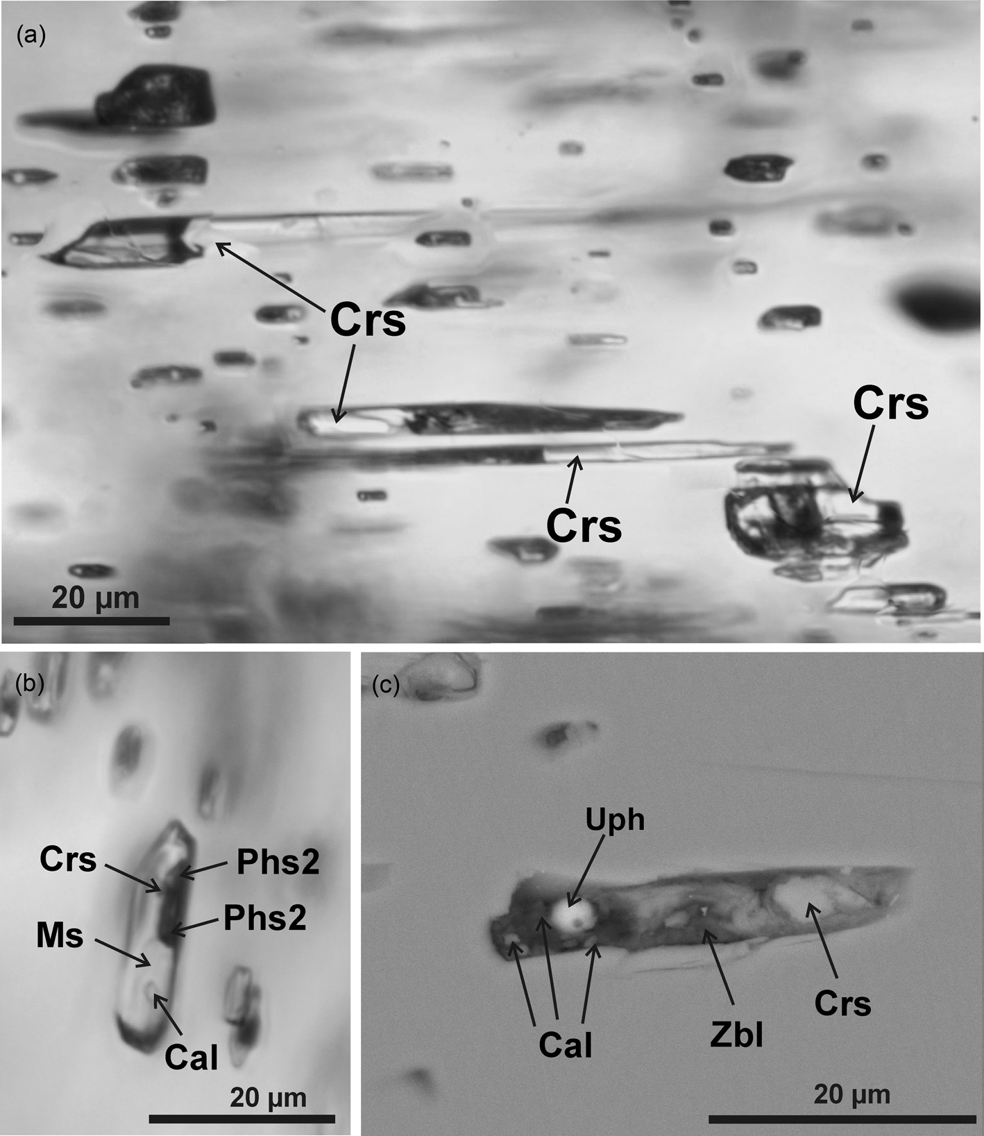 Spodumene from rare-metal pegmatites of the Kolmozero lithium world ...
