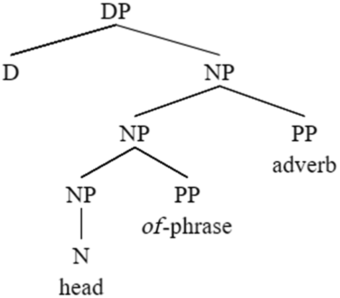 The syntax of PP-adverbs within English determiner phrases | English ...
