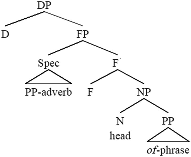 The syntax of PP-adverbs within English determiner phrases | English ...