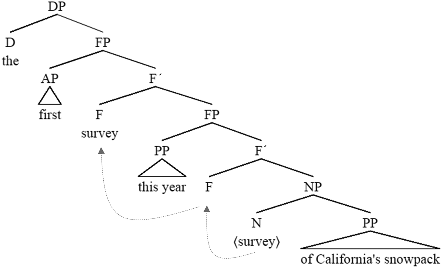 The syntax of PP-adverbs within English determiner phrases | English ...