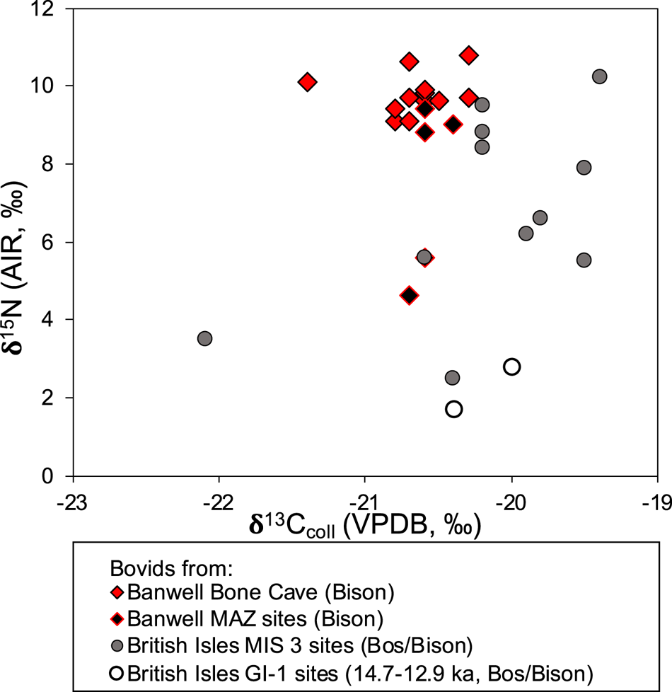 Stable isotopes confirm the Banwell Bone Cave Mammal Assemblage Zone ...