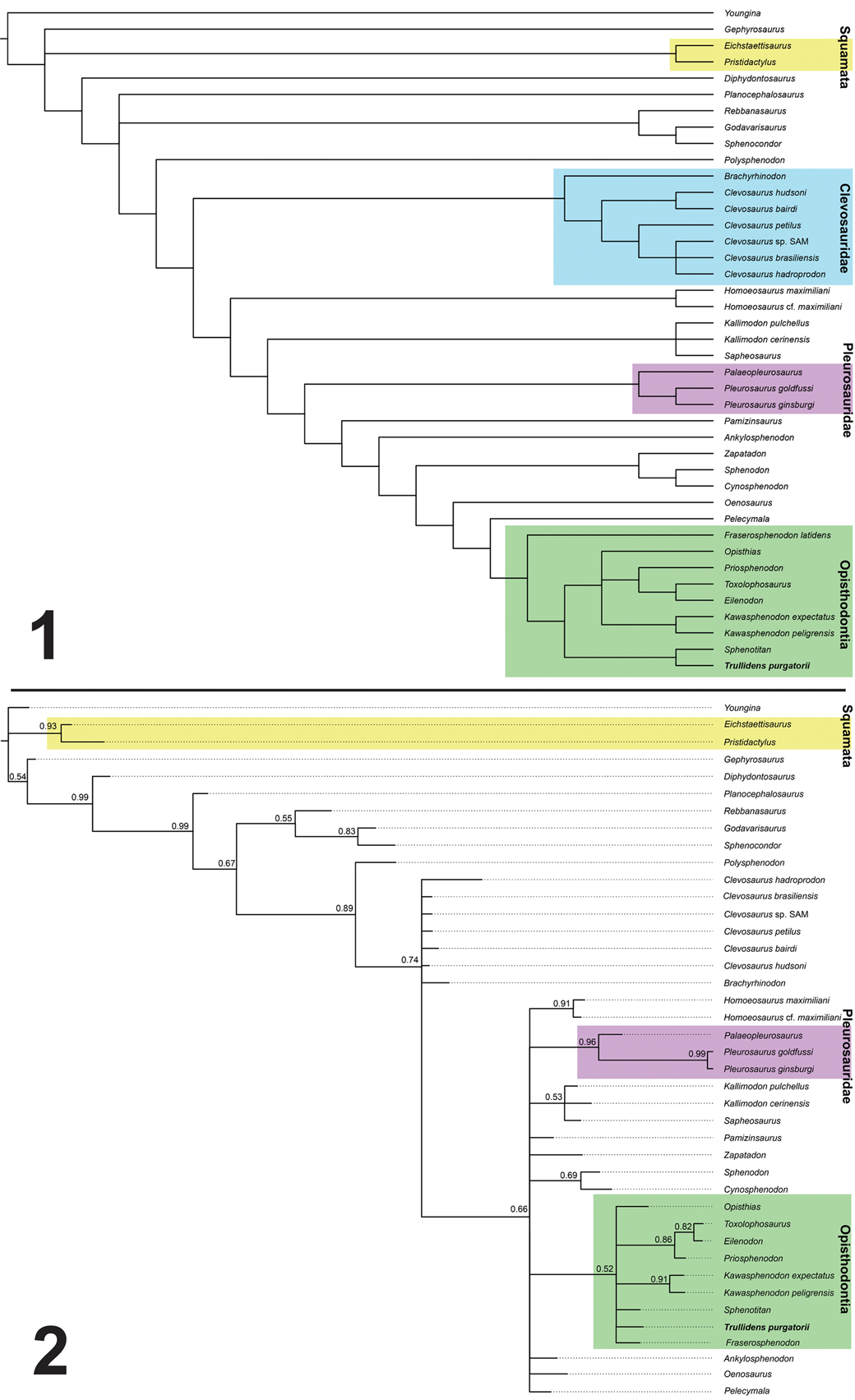 New sphenodontian (Reptilia: Lepidosauria) from a novel Late Triassic ...