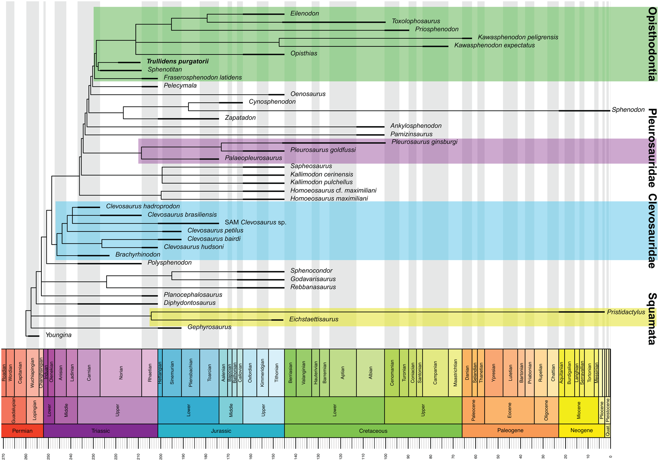 New sphenodontian (Reptilia: Lepidosauria) from a novel Late Triassic ...