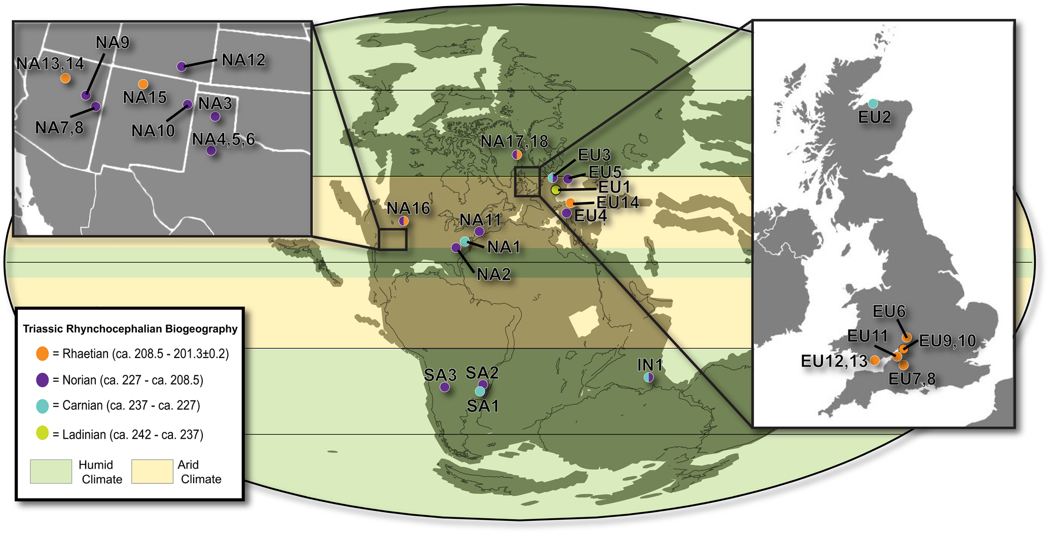 New sphenodontian (Reptilia: Lepidosauria) from a novel Late Triassic ...