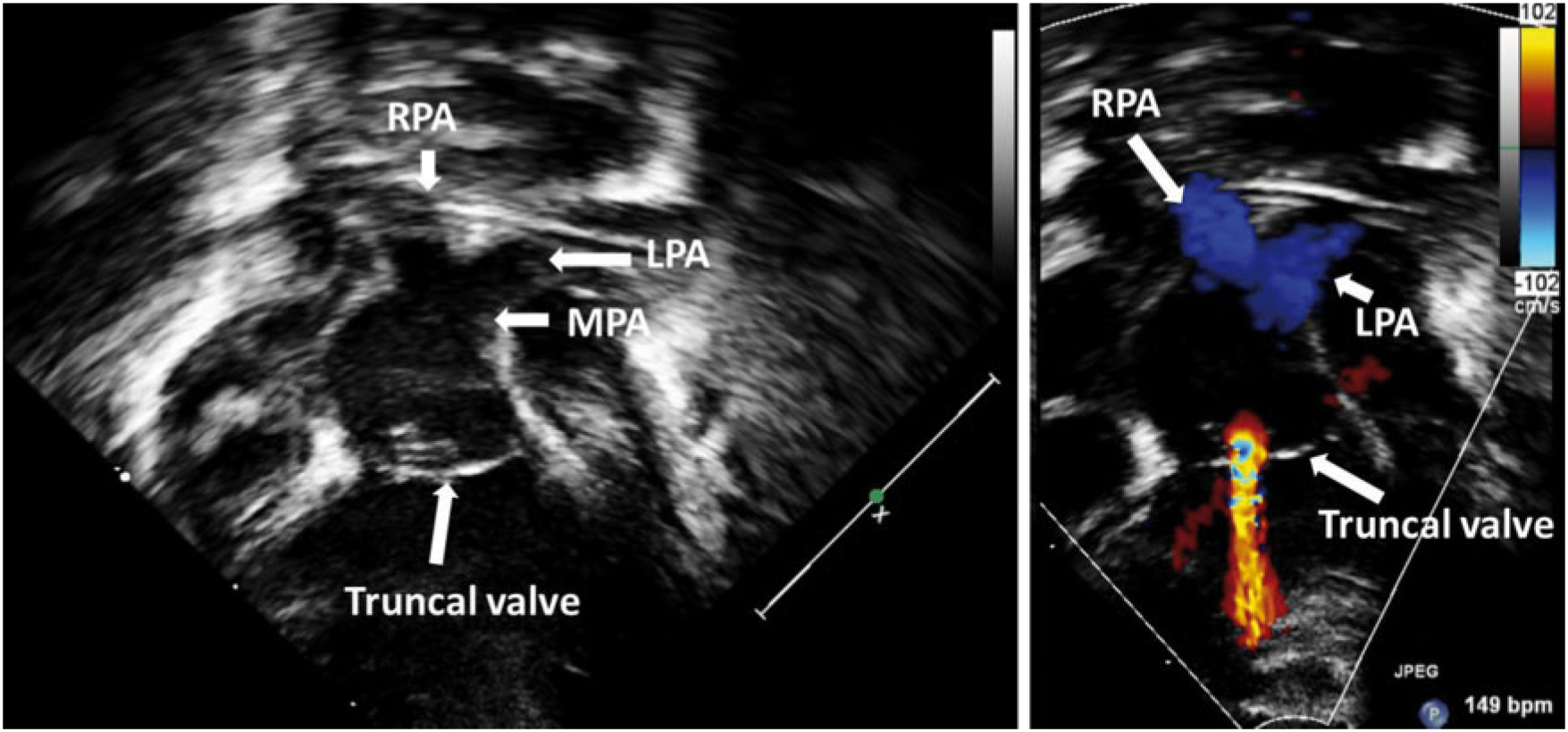 Consensus document on optimal management of patients with common ...