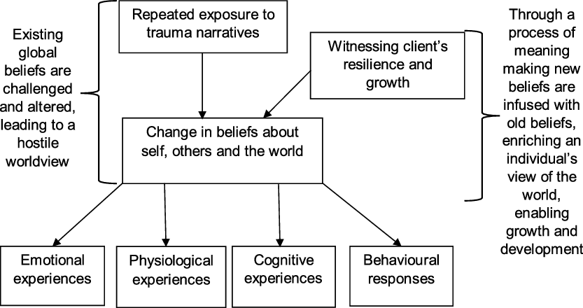 Vicarious trauma in therapists: a meta-ethnographic review ...