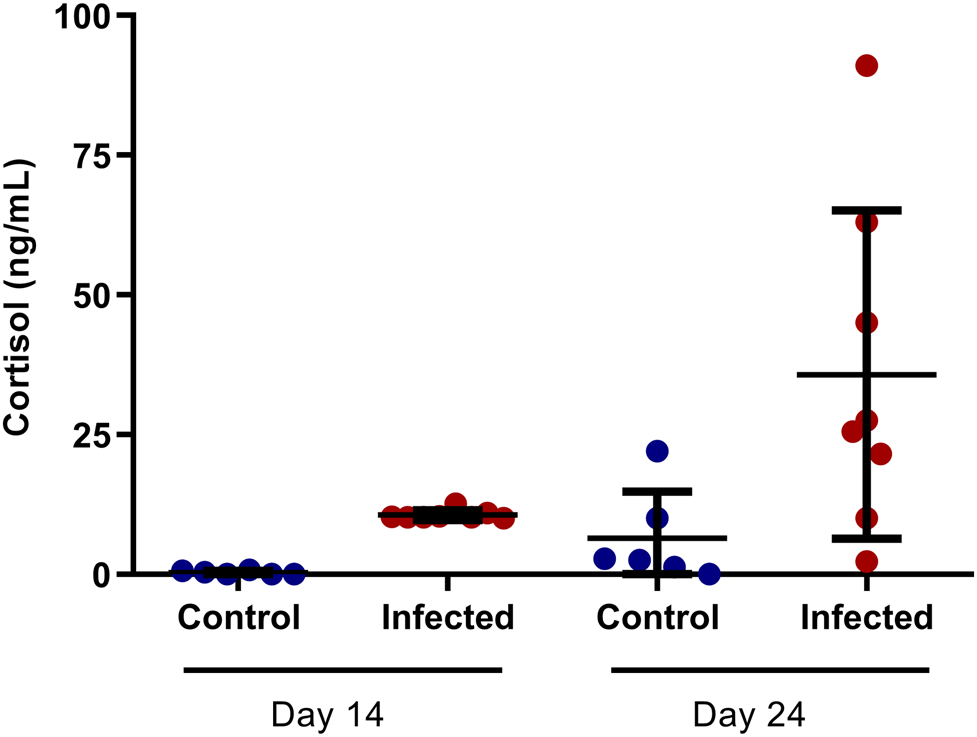 Leukogram and cortisol parameters in Swiss mice experimentally infected ...