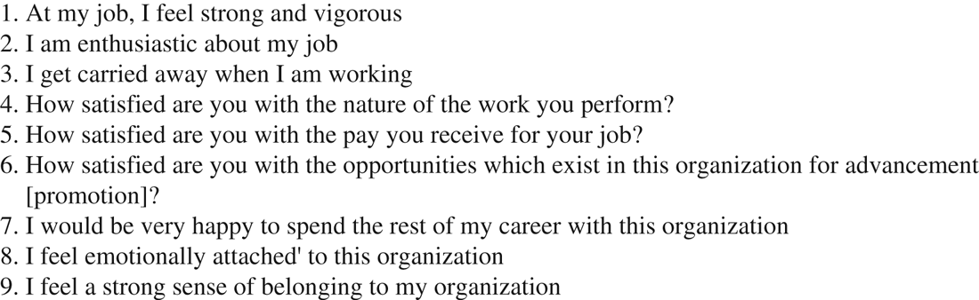 Happiness at work: Developing a shorter measure | Journal of Management ...