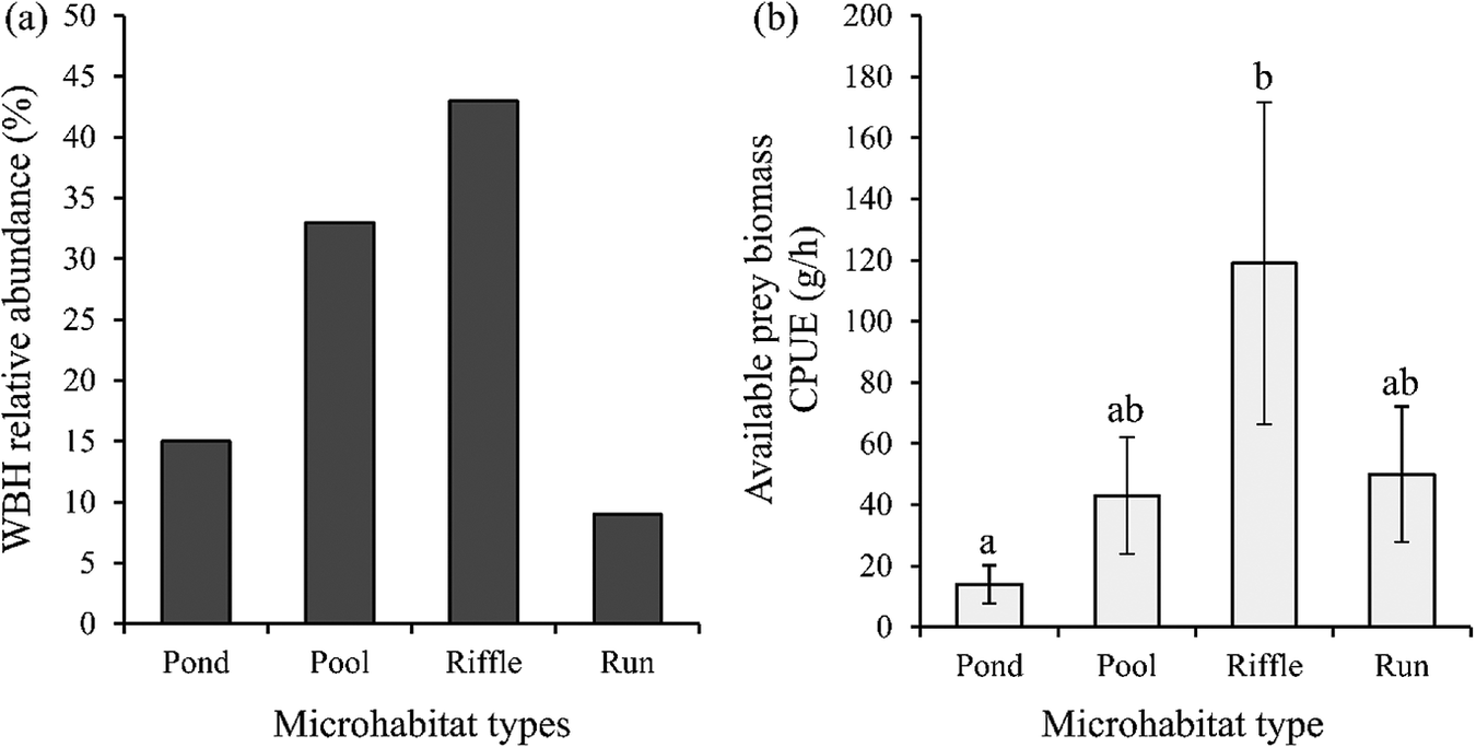 Ecological and environmental factors affecting the foraging activity of ...