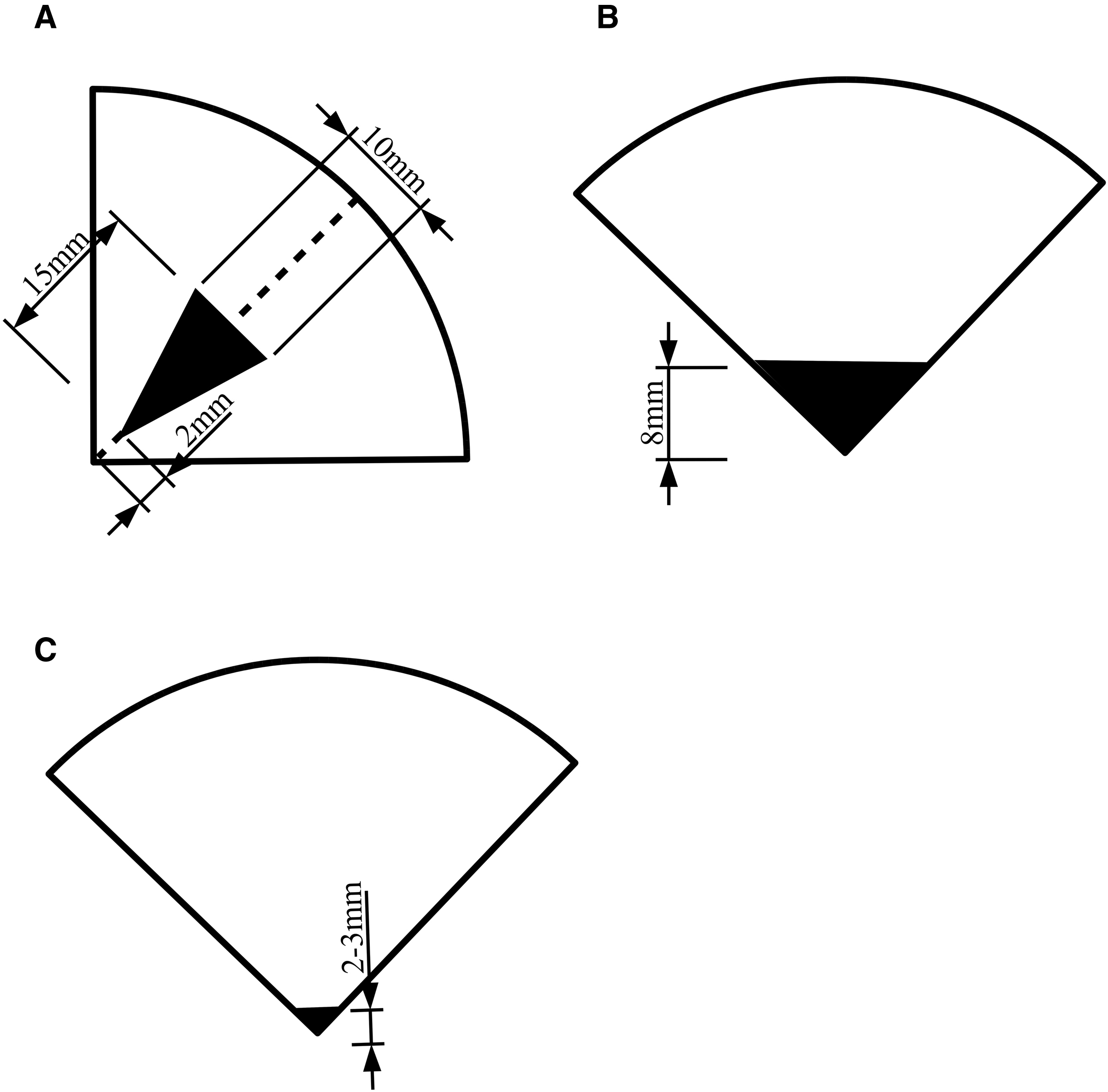 Detection of food in immature and adult stages of water scavenger ...