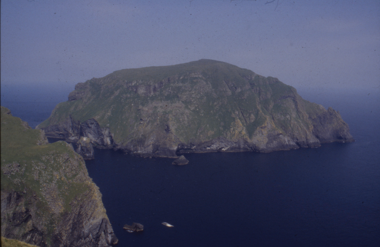 Soay Sheep: The Back-story | Cambridge Archaeological Journal ...