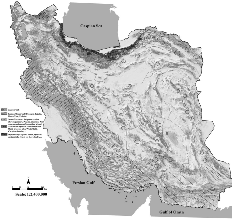 The Caspian Forests of Northern Iran during the Qajar and Pahlavi ...
