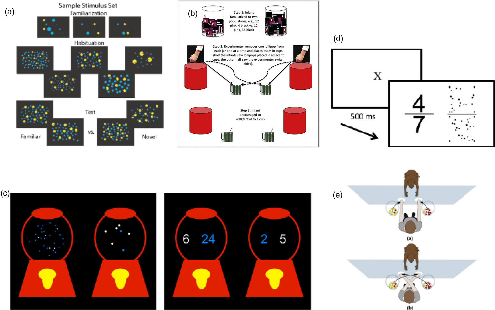 The number sense represents (rational) numbers | Behavioral and Brain ...