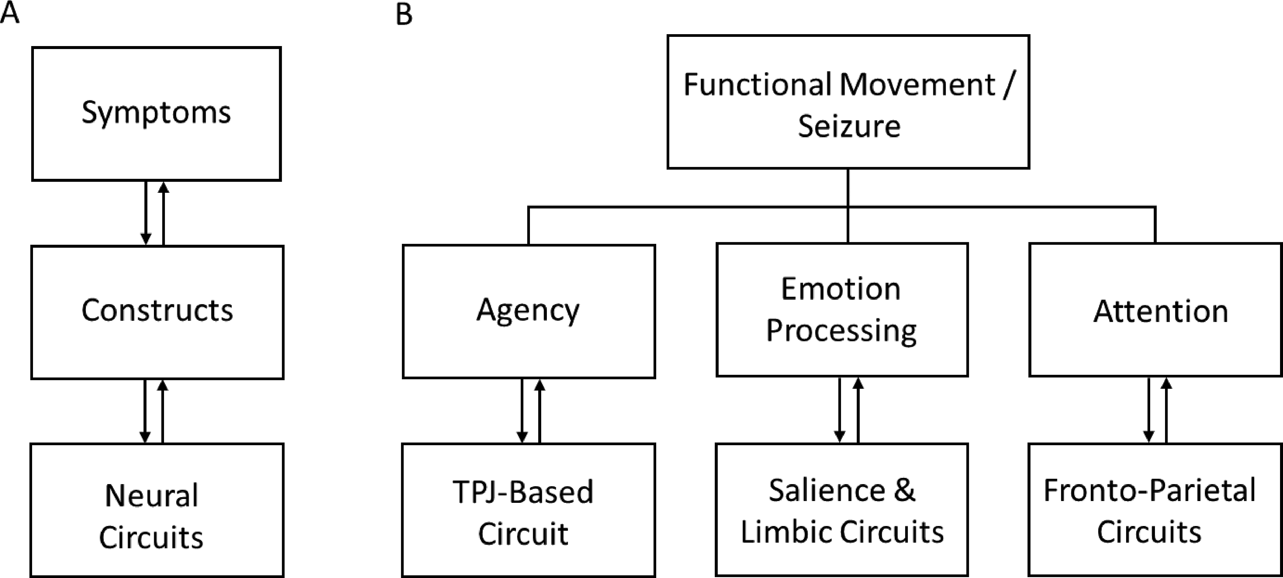 A framework for understanding the pathophysiology of functional ...