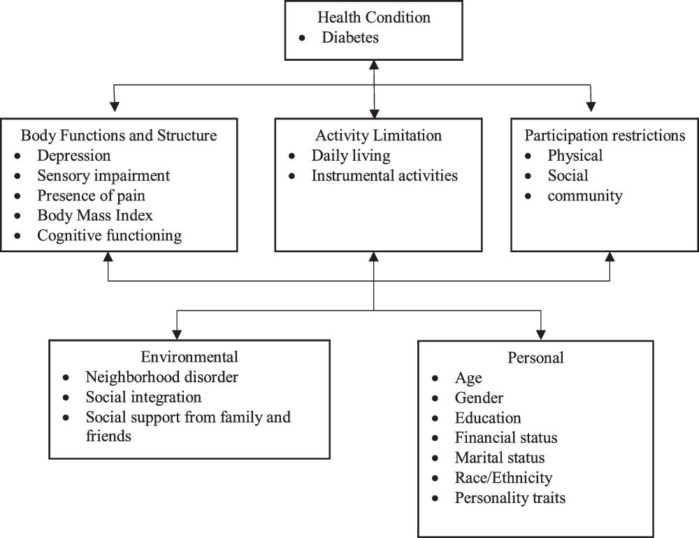 Physical activity participation among older adults with diabetes ...